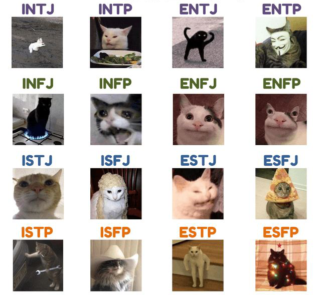 🔥 MBTI 성격유형 테스트 & 친구들과 카드 만들기 | 무료 MBTI 갤러리